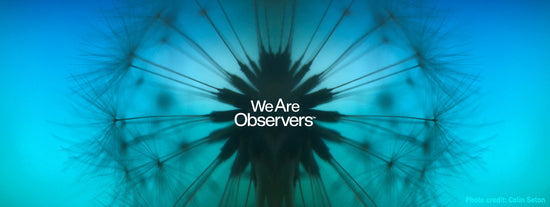session info – We Are Observers