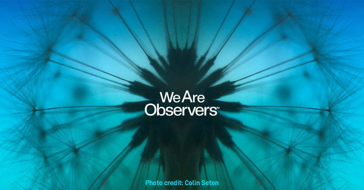 WeAreObservers – We Are Observers