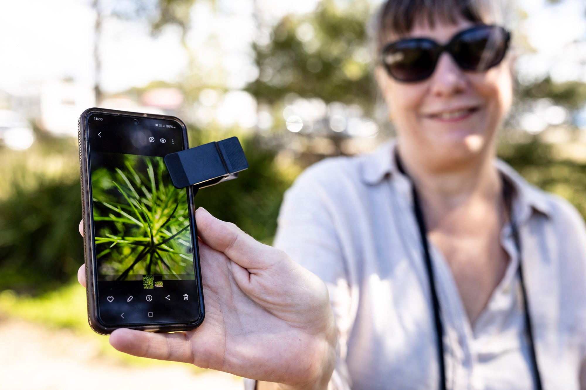 Art with your phone – We Are Observers