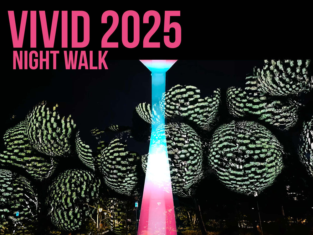 Collections – We Are Observers