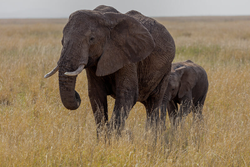 Gallery – We Are Observers